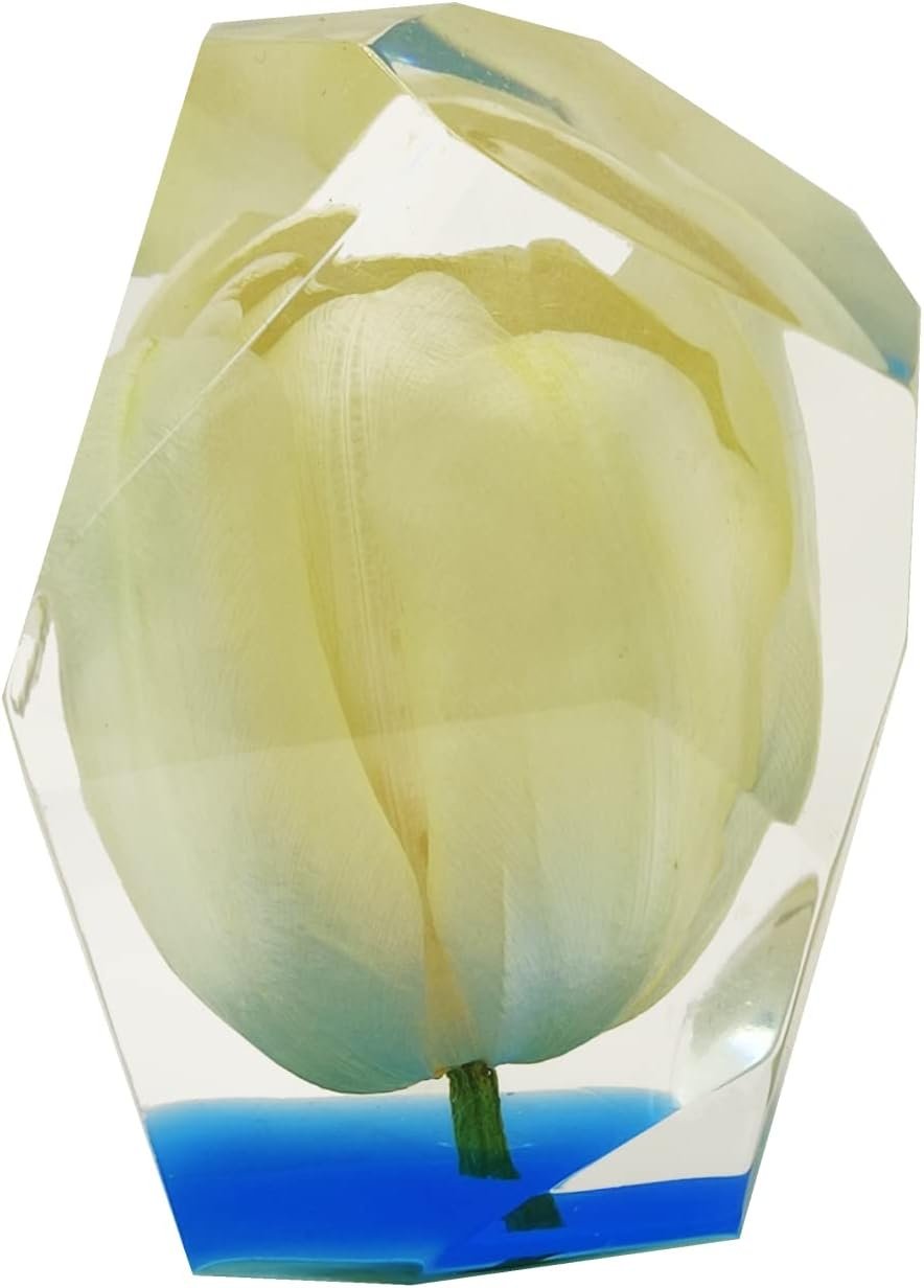 Eternal Flower Natural Tulip Preserved Flower in Resin | Resin Art ...